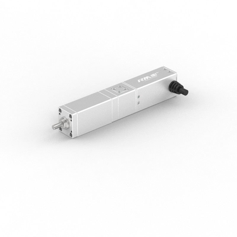 Robustmotion Rm Sla Series High Precise Straight Electric Linear